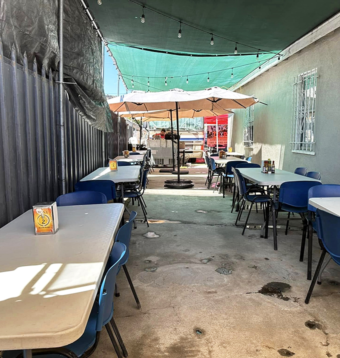 Mariscos El Tambo's outdoor setup proves great seafood doesn't need walls – just fresh ingredients and serious skills.