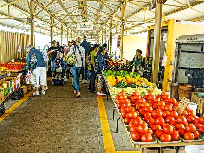 Fresh produce runway! These tomatoes are ready for their close-up with the Minneapolis skyline providing the perfect backdrop.