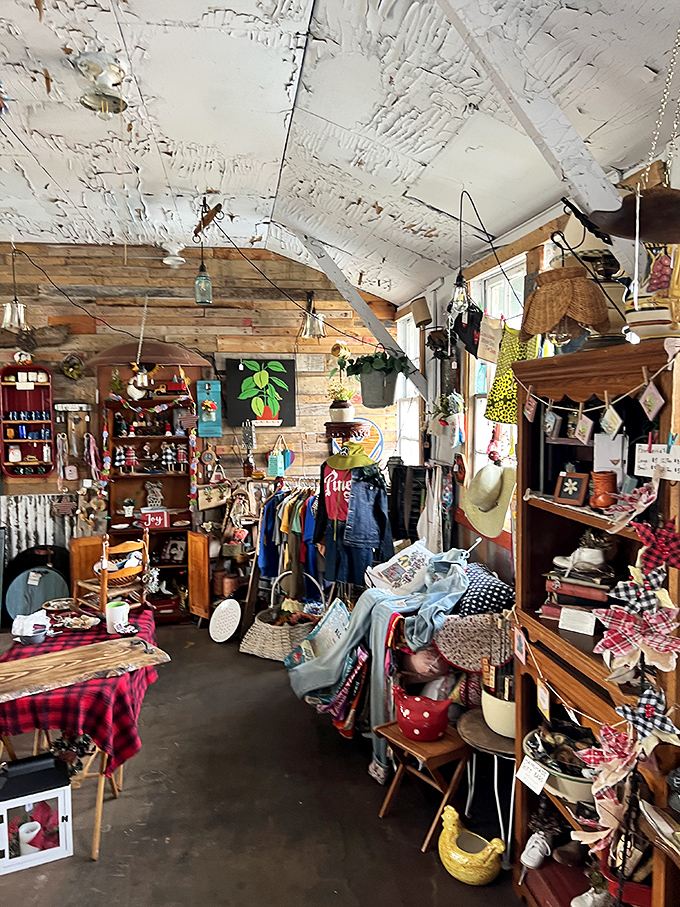 New Egypt's rustic charm overflows with vintage treasures. Marie Kondo would have a panic attack in this delightful chaos!