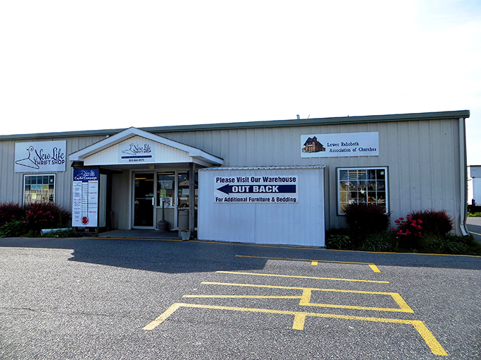 New Life indeed! This thrift shop promises resurrection for both your home decor and your savings account.