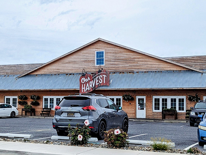 Our Harvest's rustic wooden charm feels like a farmhouse that happens to serve incredible food. From field to fork in the best way!