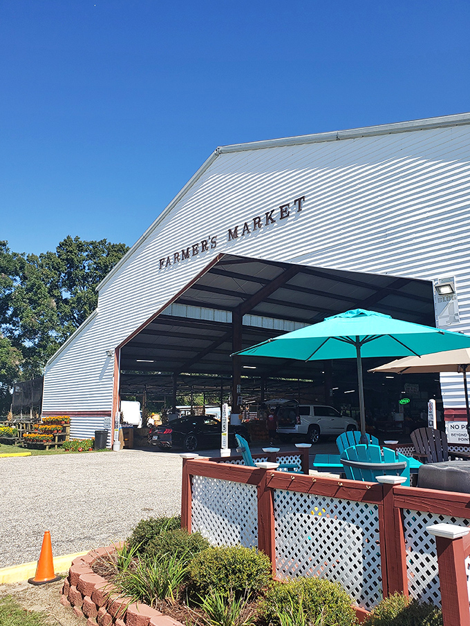 The Pee Dee State Farmers Market's impressive structure houses equal parts fresh produce and fascinating finds.