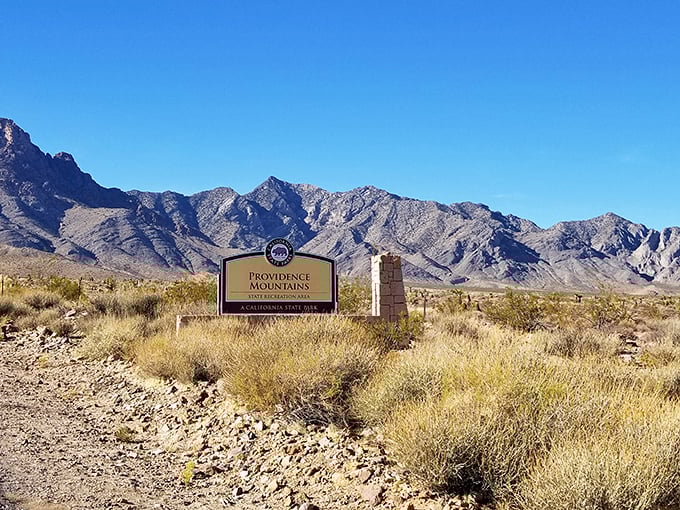 Desert mountains rise like ancient fortresses, protecting limestone caves that stay cool in blazing heat.