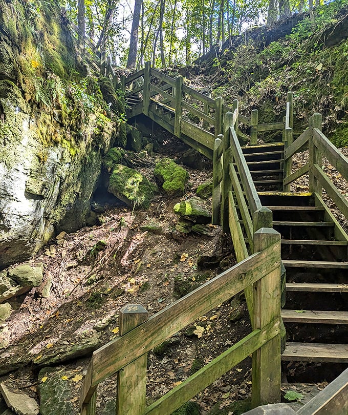 These wooden stairs at Rock Bridge Memorial Park lead to underground wonders. Indiana Jones would approve of this adventure!