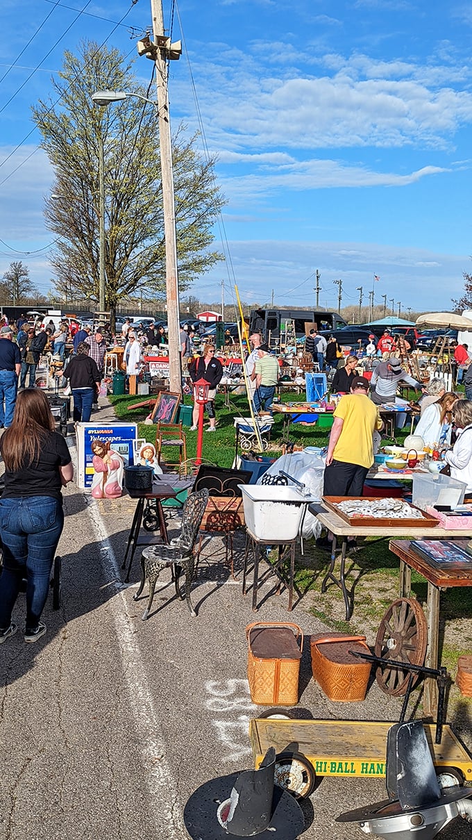 Antique heaven at Springfield! Professional dealers transform the fairgrounds into a wonderland of beautifully preserved pieces waiting for their next chapter.