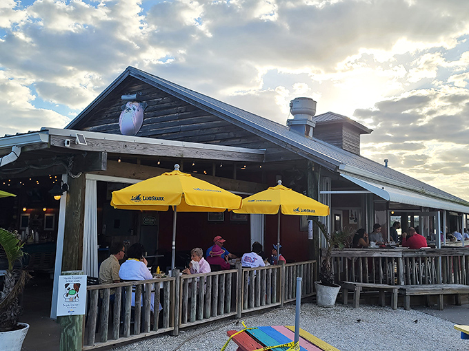 Yellow building, blue skies, and seafood that makes you sigh. The Old Salty Dog's patio is where memories are made.