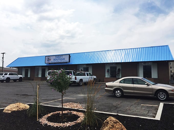 The Other Side's bright blue roof stands out like a sapphire in Salt Lake City's thrift landscape.