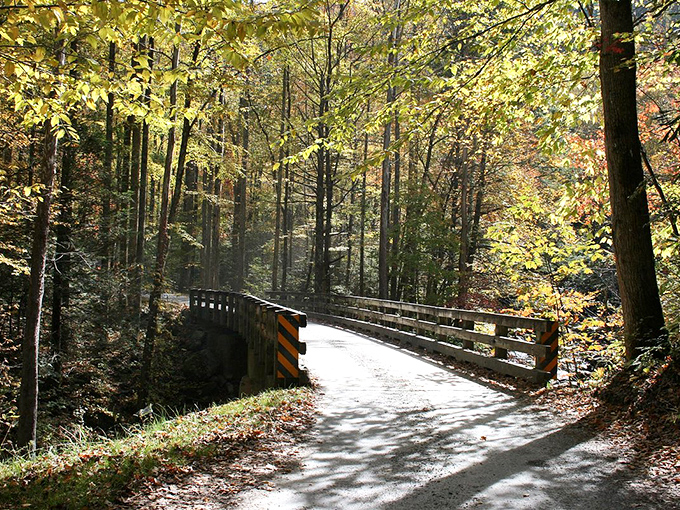 Townsend's forest roads lead to adventures that cost nothing but time. This wooden bridge promises discoveries on the peaceful side of the Smokies!