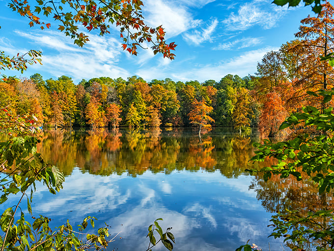 Fall foliage reflected in still waters creates nature's perfect mirror. Narcissus would never leave this spot.