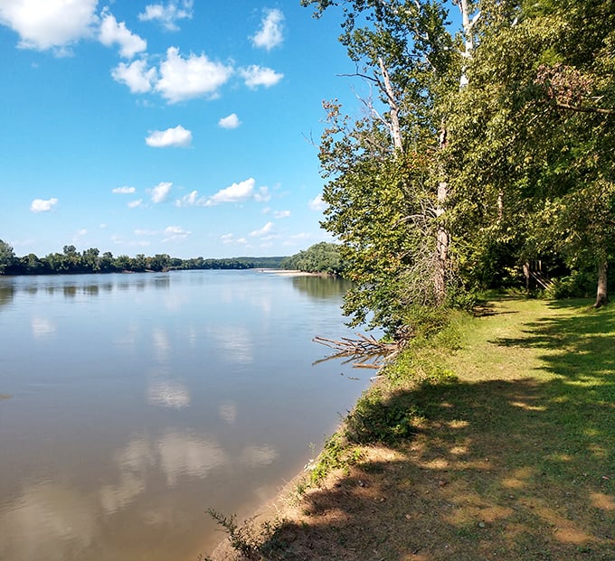 Harmonie State Park's riverbank offers front-row seats to nature's daily parade. Better than any theater show!
