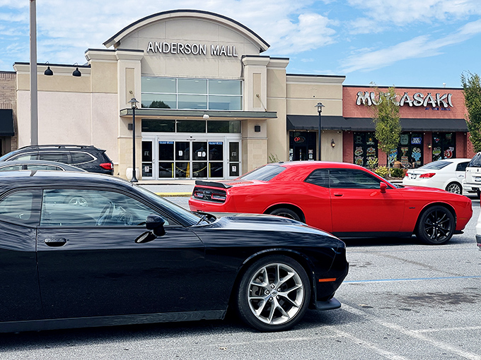 Sleek cars line up outside Anderson Mall, their drivers eager to exchange green bills for shopping bag treasures within.