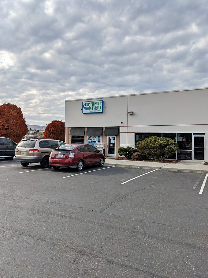 Against moody Washington skies, Community Thrift's simple sign promises affordable treasures within its no-nonsense walls.