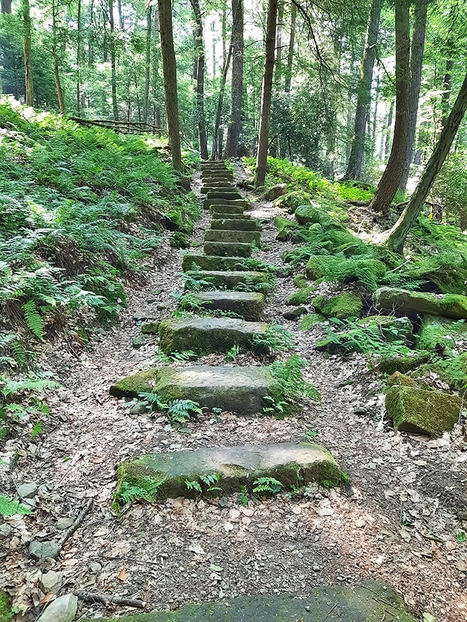 These moss-covered steps at Cook Forest have been welcoming hikers since before selfies were a thing.