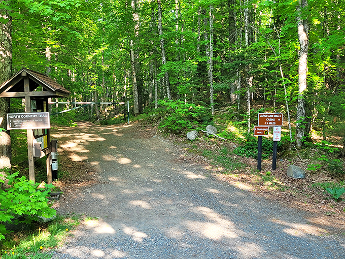 The entrance to North Country Trail at Craig Lake invites hikers into a forest so pristine it feels like stepping into another time.