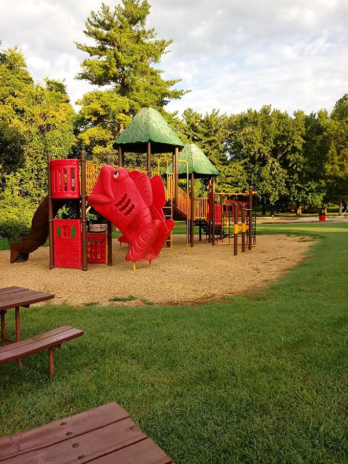 Crystal City park playground brings a splash of whimsy and color to everyday life &mdash; fish slide included, fishing license not required.