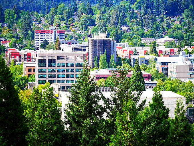 Sculptural elements brighten Eugene's walkable core. Free senior bus passes make this artistic haven accessible without draining your monthly check.