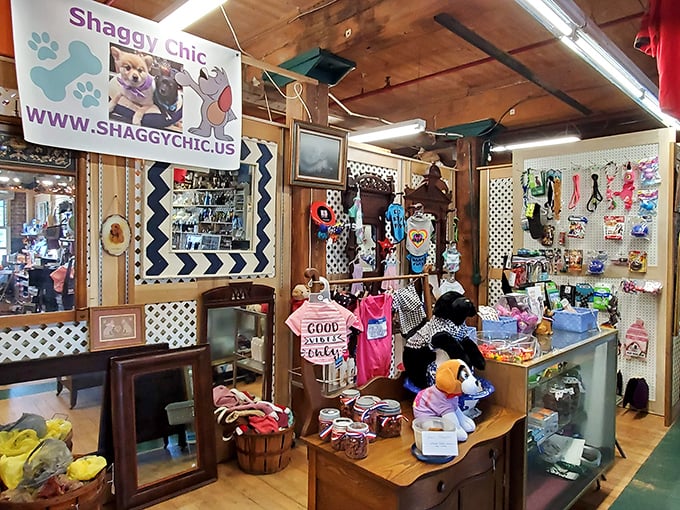 Plainville's market transforms an ordinary Sunday into a day of discovery, where every booth holds potential for the perfect find.