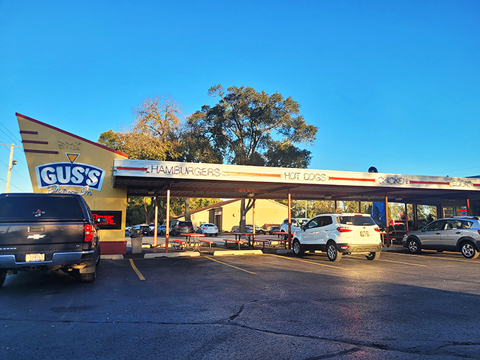 The classic drive-in layout at Gus's feels like a movie set where you're the star and custard is your supporting actor.
