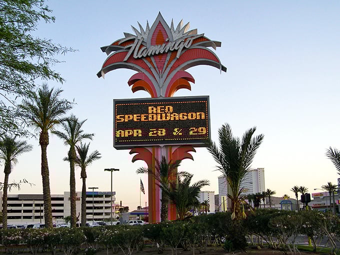 The iconic Flamingo sign promises entertainment that won't empty your wallet&mdash;a retiree's desert oasis on a budget.