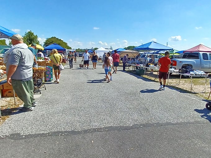 Bargain boxes as far as the eye can see! Morning Sun Marketplace turns ordinary parking lots into extraordinary shopping adventures.