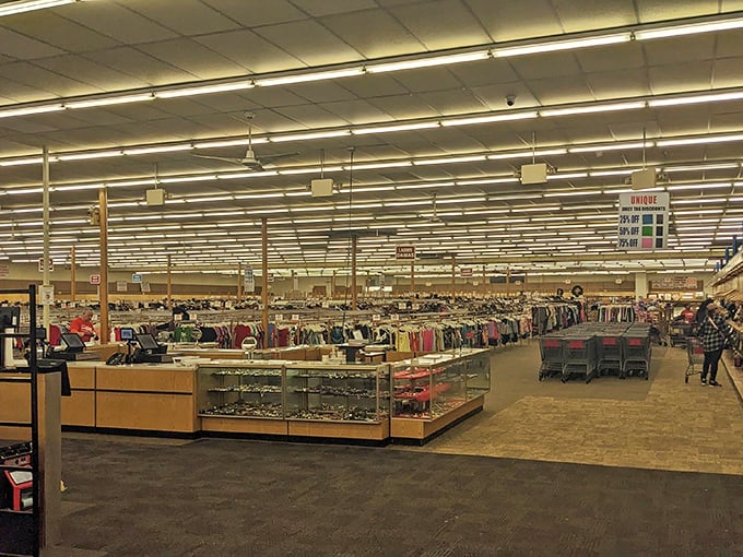 A thrifter's dream: aisles wide enough for cart drag races and inventory deep enough to require snack breaks.