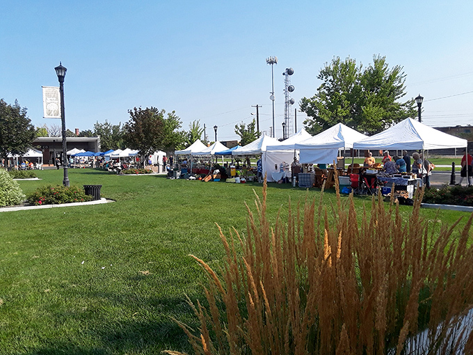 From farm to table in the most direct route possible. These wooden crates hold the secret to this week's best meals.