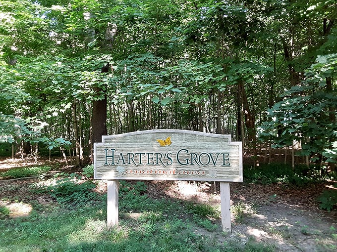 Step into the lush greenery of Harter&rsquo;s Grove, where you can enjoy a peaceful walk through this beautiful natural area.