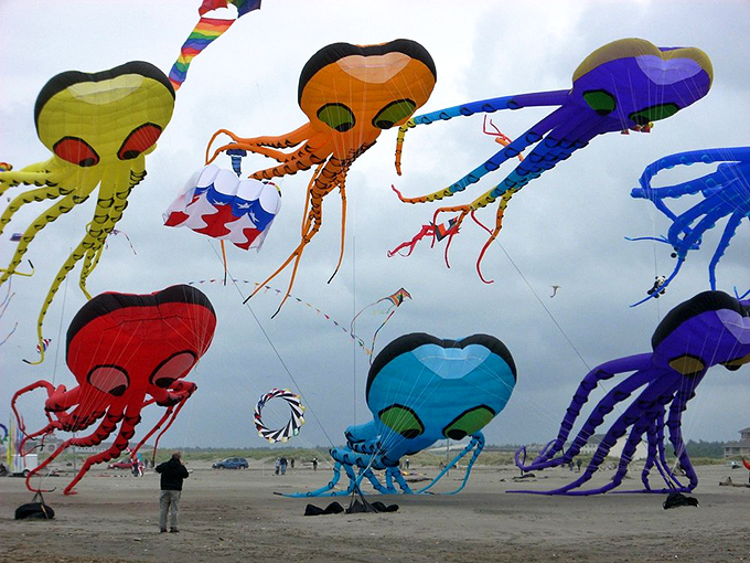 Colorful kites dance above Ocean Shores' beaches, a free spectacle that epitomizes this town's accessible coastal pleasures.