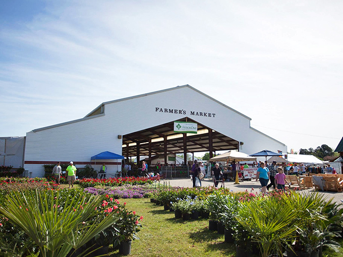 Beyond just tomatoes and squash, this Florence market delivers a shopping experience as fresh as its locally grown produce.