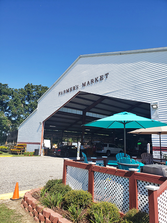 Under this big steel canopy, the scent of ripe peaches mingles with fresh kettle corn&mdash;and suddenly, Tuesday feels like a festival.