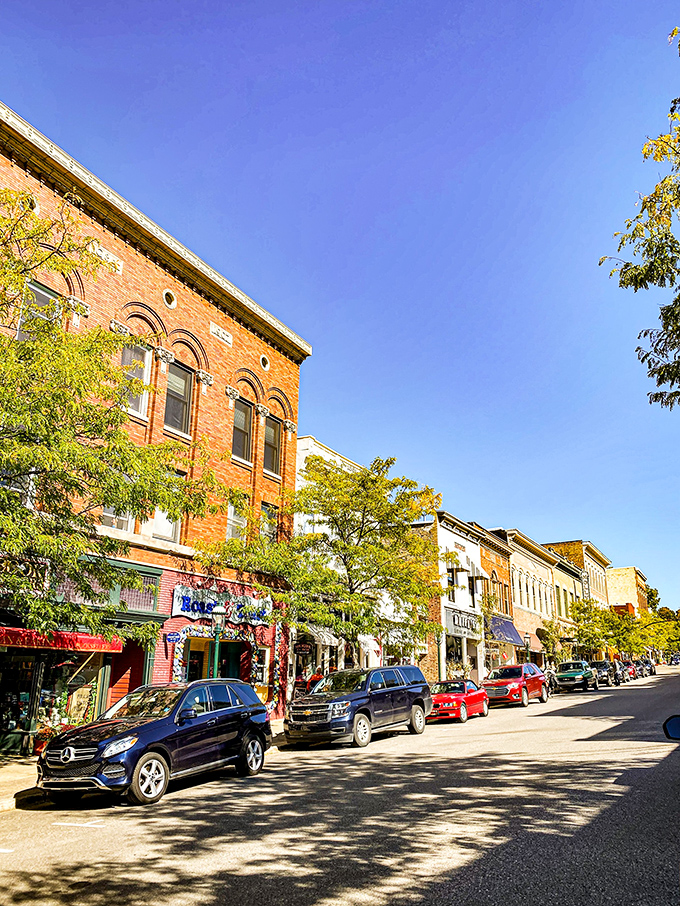 Cars and trees share Petoskey's streets in a perfect balance of nature and small-town civilization.