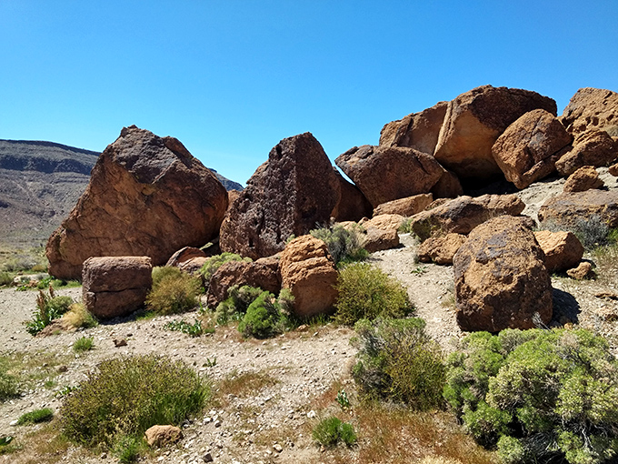 Mojave wilderness stretches endlessly, where Joshua trees pose like twisted sculptures under star-filled skies.