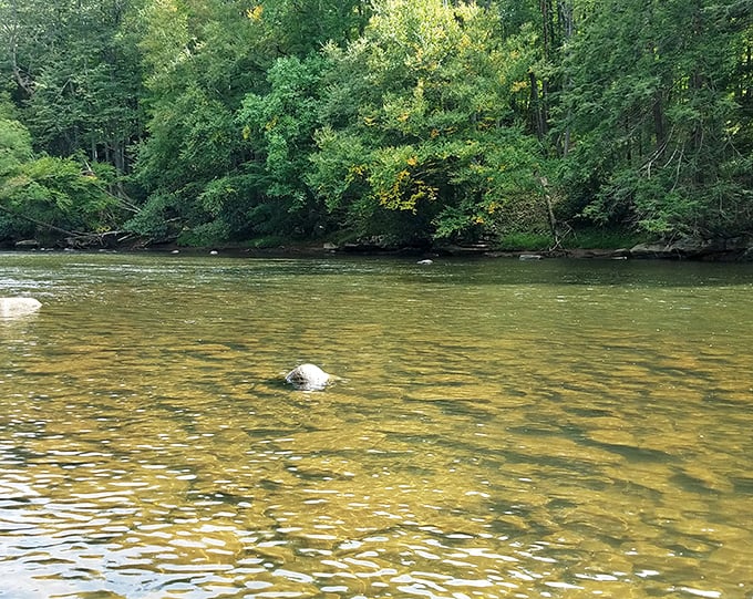 Crystal clarity! Sang Run's pristine waters reveal every pebble and fish &ndash; Mother Nature's own aquarium.