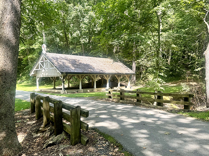 Camping dreams! Siloam Springs' shaded sites offer the perfect setup for s'mores, stories, and stargazing under Illinois skies.
