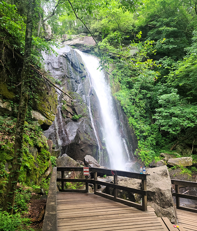 Sunlight filters through lush green canopies as water dances over rocks. Better than any spa soundtrack!