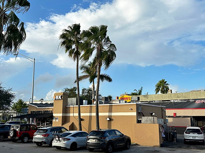 Simple, straightforward, and seriously good pizza. Steve's proves you don't need fancy surroundings when your slices speak for themselves.