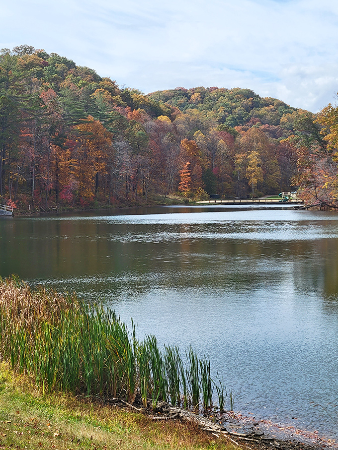 Tar Hollow State Park: "Camping with a view. Where your Tesla takes a break and your soul gets a full recharge instead."