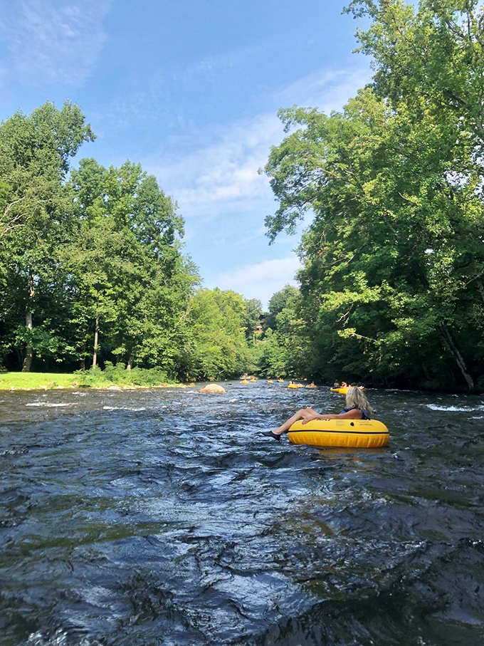 Tubing down the river in Townsend&mdash;nature's version of a water park! Cool mountain water and sunshine: the best free entertainment around!