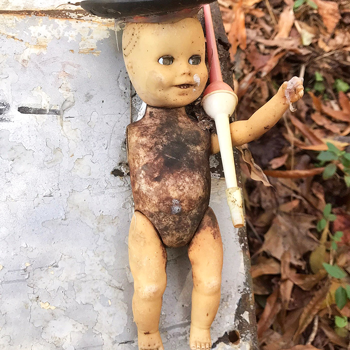 This little survivor clings to the wall with one arm, a testament to the trail's philosophy of finding beauty in the broken.