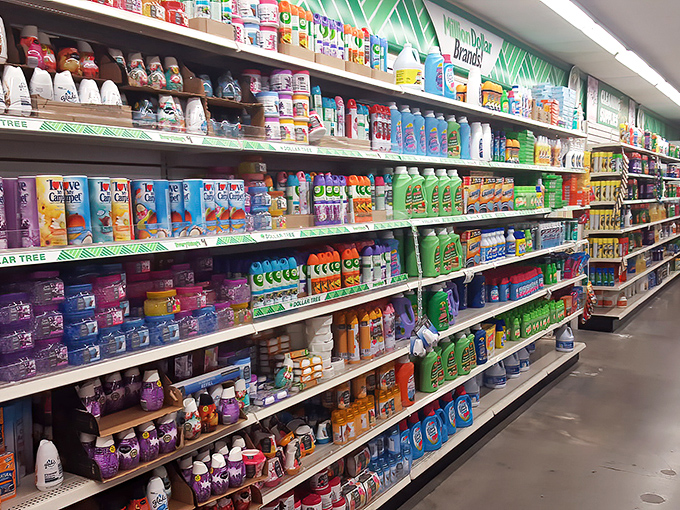 A rainbow of cleaning products that promises to battle desert dust without cleaning out your bank account.