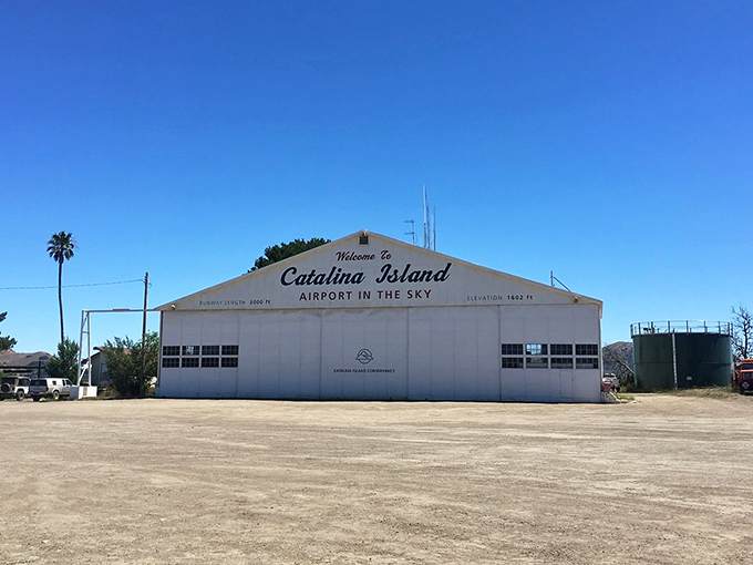 "Airport in the Sky" sounds like a rejected James Bond movie title, but it's actually Catalina's charming mountaintop airfield where pilots land for legendary buffalo burgers.