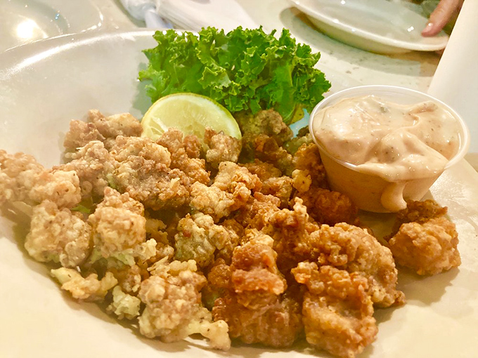 Golden-fried gator bites that convert skeptics into believers. The ultimate Florida conversation starter that tastes way better than it sounds.