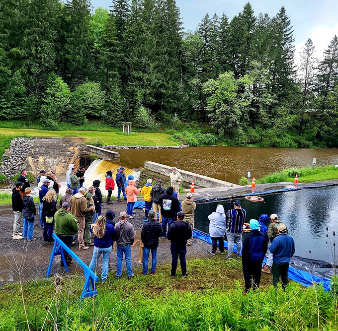 Locals gather at the dam &ndash; part community ritual, part environmental education, and entirely more interesting than anything on your phone.