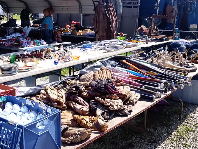 Baseball gloves waiting for their second act&mdash;each crease and weathered spot representing countless summer afternoons and childhood dreams.