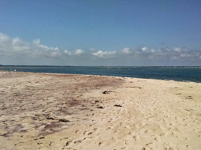 This stretch of pristine shoreline reminds you why people fall in love with Long Island's beaches – endless sand meeting the horizon without a high-rise in sight.