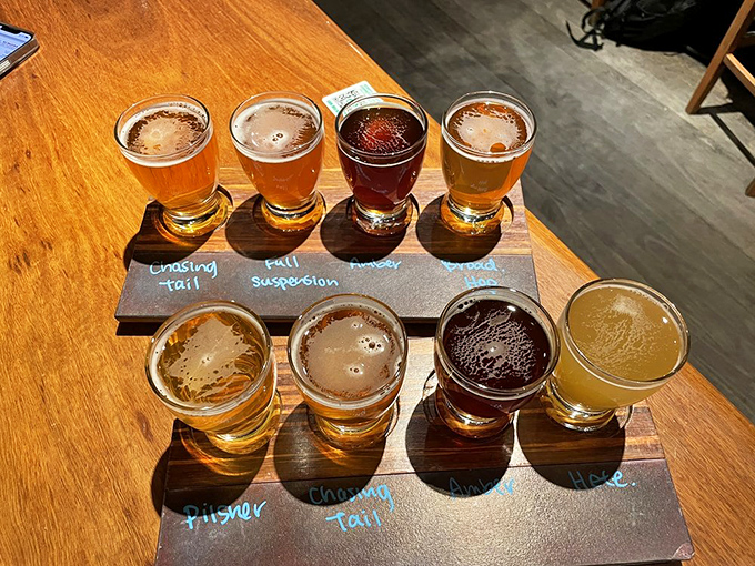 Beer flights: civilization's greatest invention since sliced bread. Eight distinct personalities in glass form, each waiting to tell you their story.