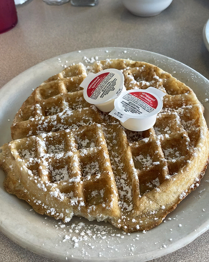 This Belgian waffle wears its powdered sugar like a light dusting of snow, waiting patiently for the warm maple syrup avalanche to come.