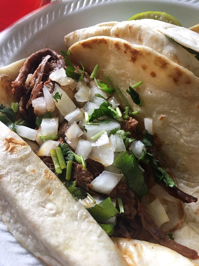 Birria tacos: where slow-cooked meat meets fresh toppings in perfect harmony. One bite and you'll understand why people drive for hours just to experience this flavor symphony.