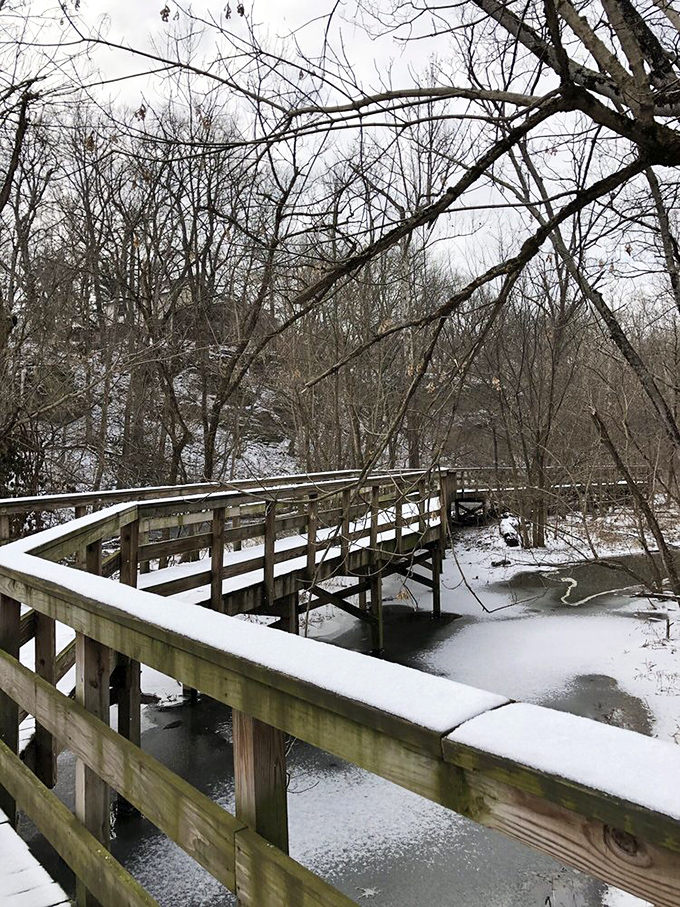 Winter transforms the boardwalk into a snow-dusted pathway through a frozen wonderland. The creek's icy edges create nature's own sculpture garden.