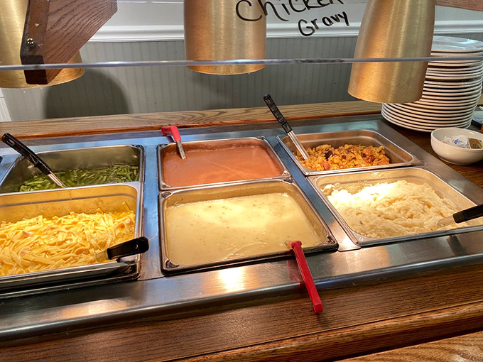 The buffet lineup &ndash; where good intentions about portion control go to die. Those noodles have been planning your downfall since breakfast.